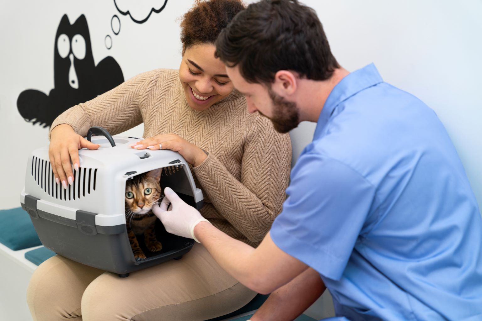 How Often Should Your Pet See the Vet? | Greenpoint Vet Care